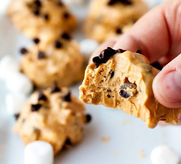 Easy Lemon Oatmeal No-Bake Cookies – Quick & Refreshing